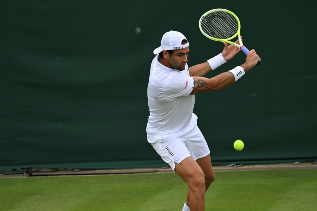 Wimbledon, wildcard per Wawrinka e Dimitrov. No a Berrettini che spera ...